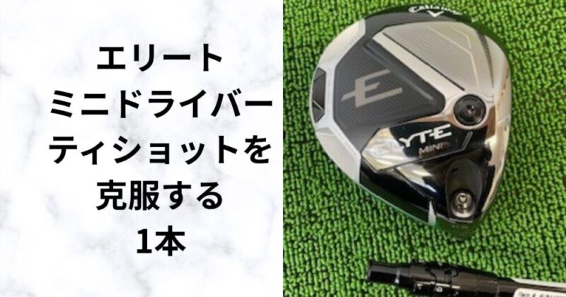 【試打評価】ELYTE MINIドライバー｜大型ヘッドが苦手なゴルファーに最適な1本！ | golfer-nao